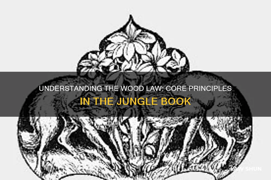 Understanding The Wood Law: Core Principles In The Jungle Book | LawShun