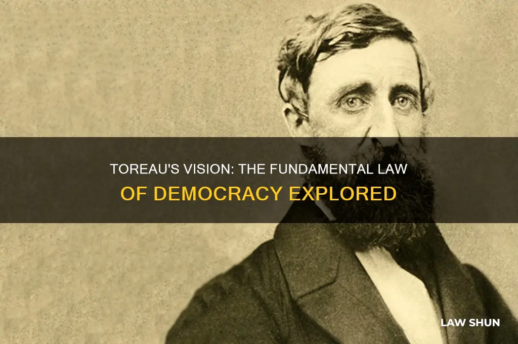 Toreau's Vision: The Fundamental Law Of Democracy Explored | LawShun