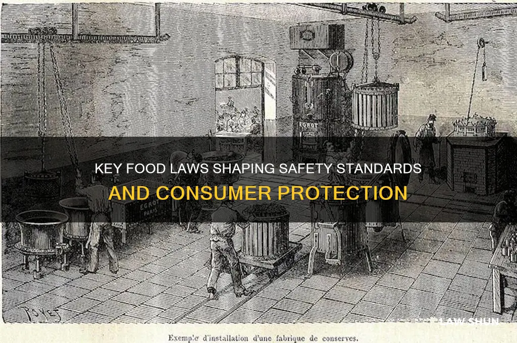 Key Food Laws Shaping Safety Standards And Consumer Protection | LawShun