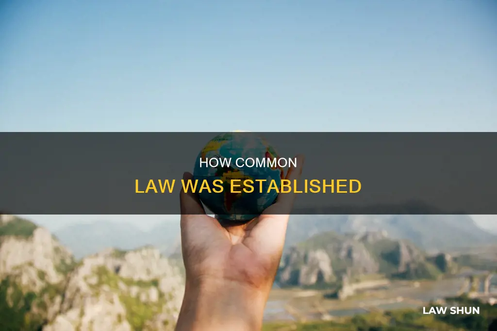How Common Law Was Established | LawShun