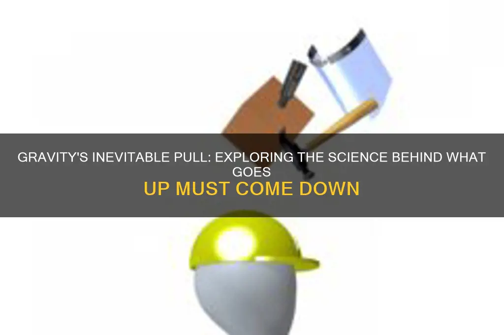 Gravity's Inevitable Pull: Exploring The Science Behind What Goes Up ...