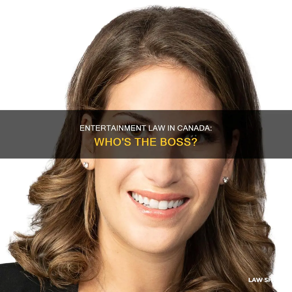 Entertainment Law In Canada: Who's The Boss? | LawShun