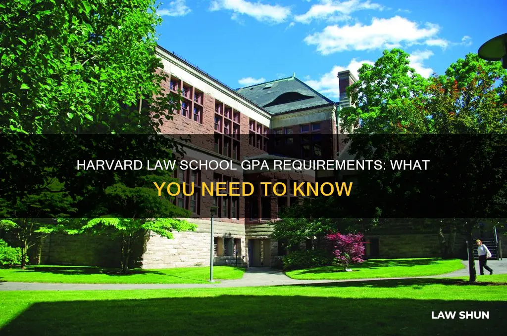 Harvard Law School Gpa Requirements: What You Need To Know | LawShun