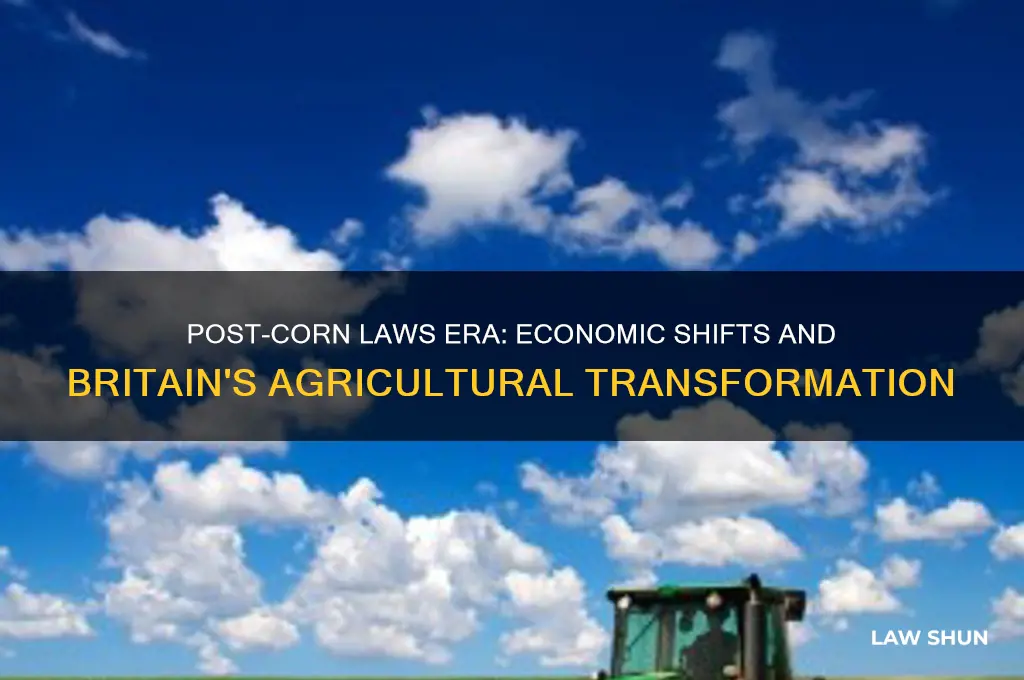 Post-Corn Laws Era: Economic Shifts And Britain's Agricultural ...