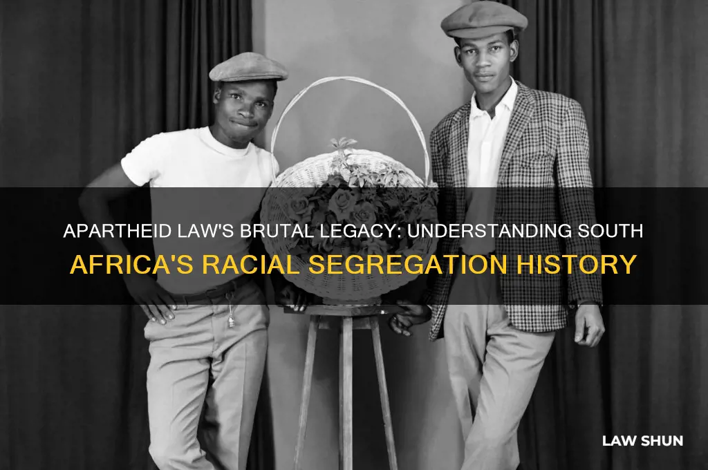 Apartheid Law's Brutal Legacy: Understanding South Africa's Racial ...
