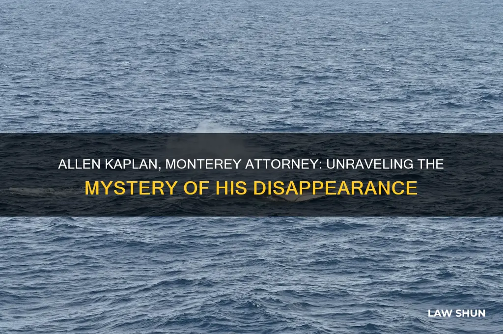 Allen Kaplan, Monterey Attorney: Unraveling The Mystery Of His ...