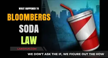 The Fate Of Ada Law: Changes, Challenges, And Current Status | LawShun