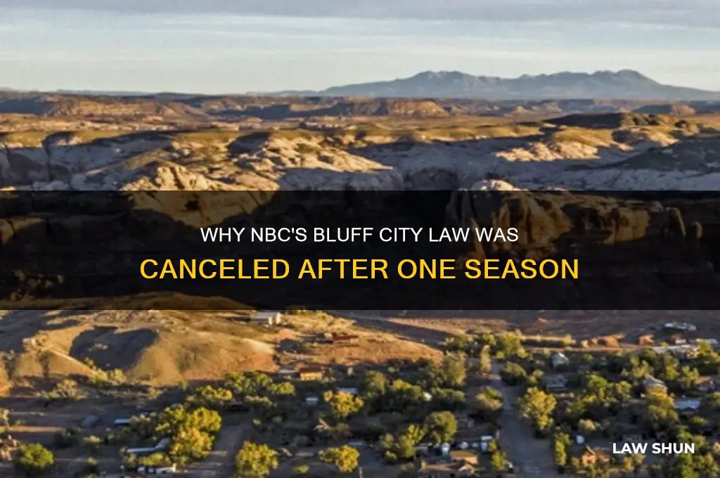 Why Nbc's Bluff City Law Was Canceled After One Season | LawShun