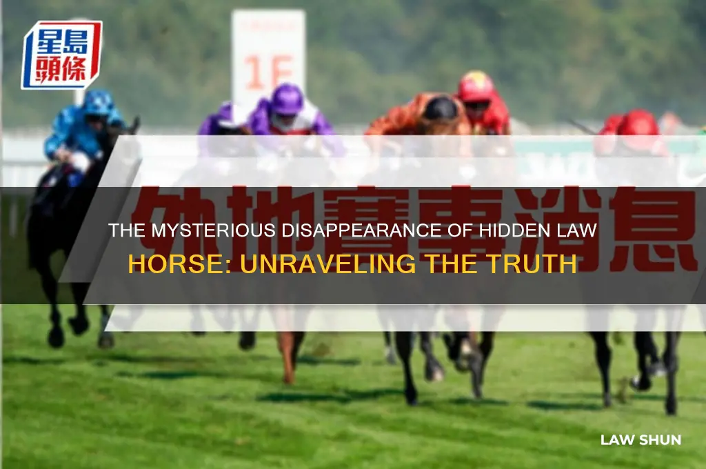 The Mysterious Disappearance Of Hidden Law Horse: Unraveling The Truth ...