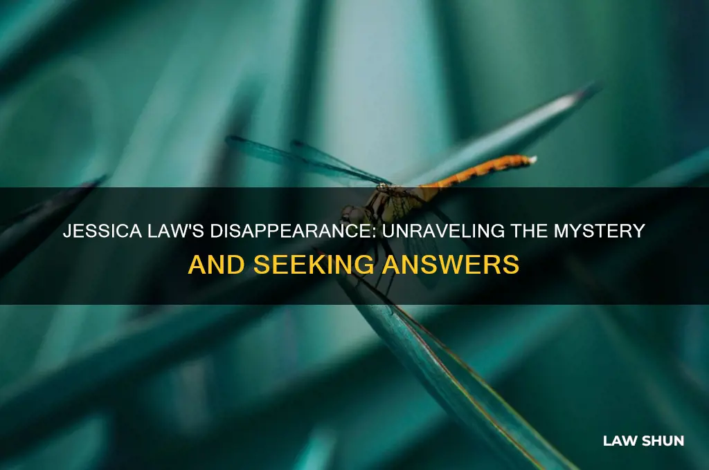 Jessica Law's Disappearance: Unraveling The Mystery And Seeking Answers ...