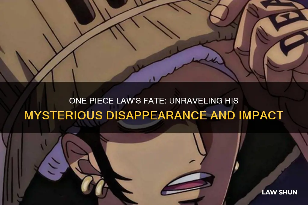 One Piece Law's Fate: Unraveling His Mysterious Disappearance And ...