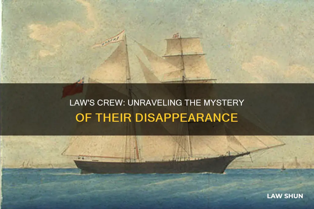 Law's Crew: Unraveling The Mystery Of Their Disappearance | LawShun