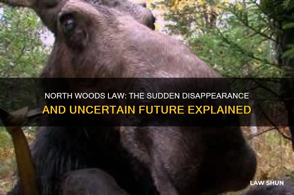 North Woods Law: The Sudden Disappearance And Uncertain Future ...