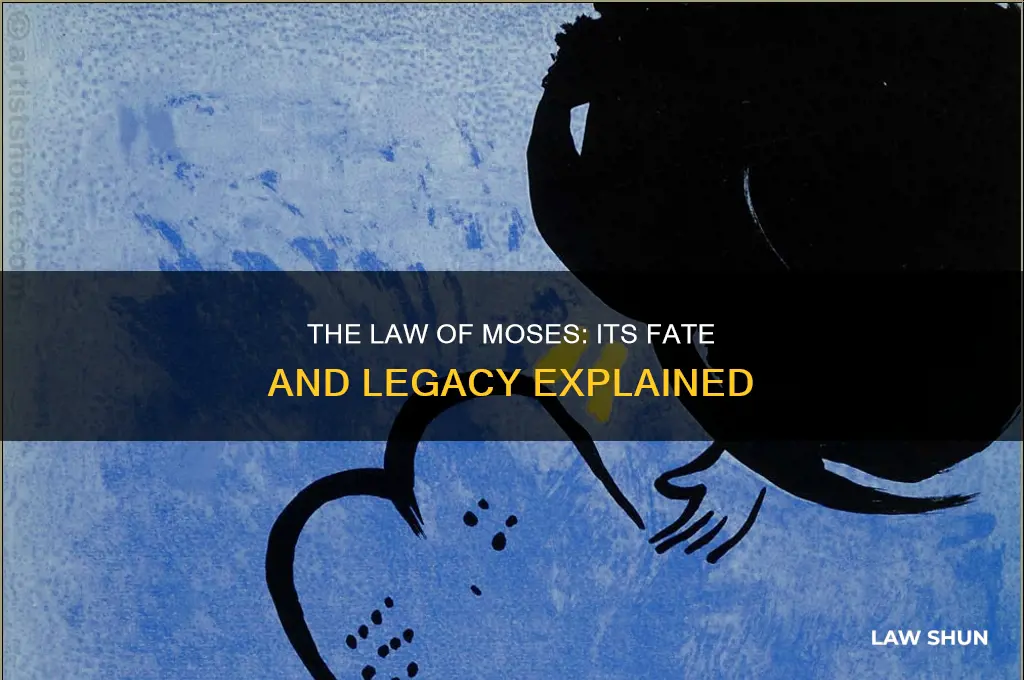 The Law Of Moses: Its Fate And Legacy Explained | LawShun