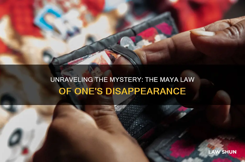 Unraveling The Mystery: The Maya Law Of One's Disappearance | LawShun