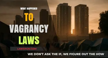 Johnson's Veto: The Clash Over Radical Reconstruction Laws Explained ...