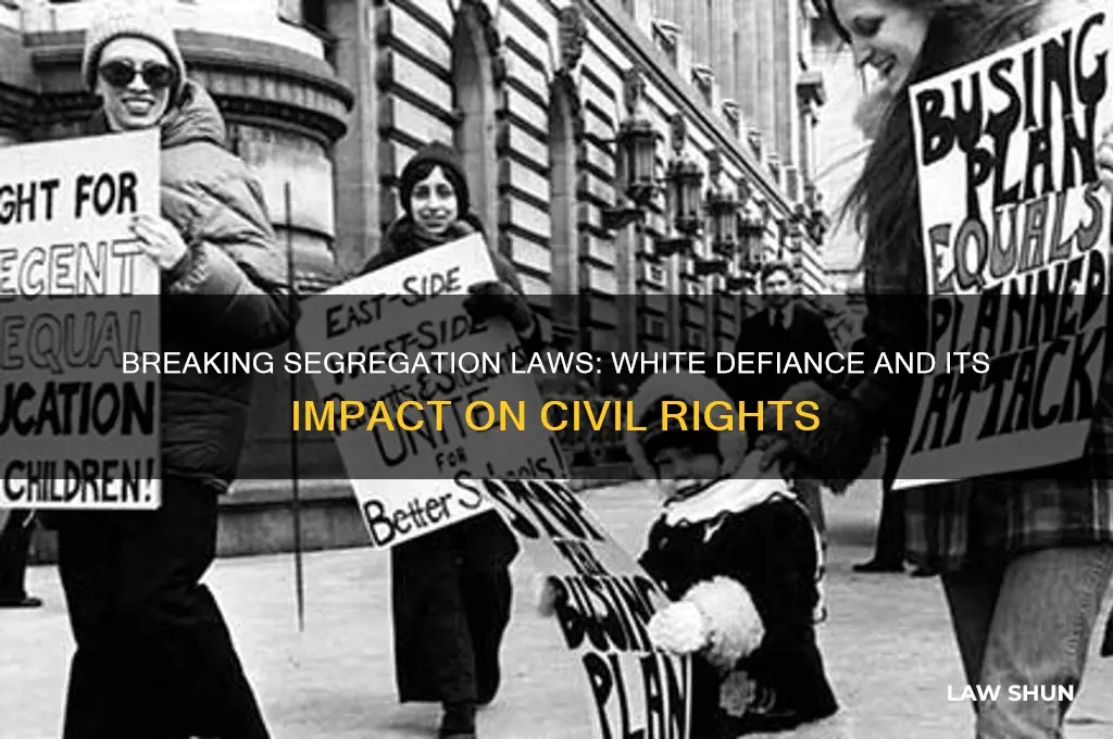 Breaking Segregation Laws: White Defiance And Its Impact On Civil ...