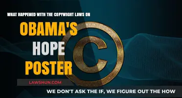 Obama's Hope Poster: The Copyright Battle And Legal Aftermath | LawShun