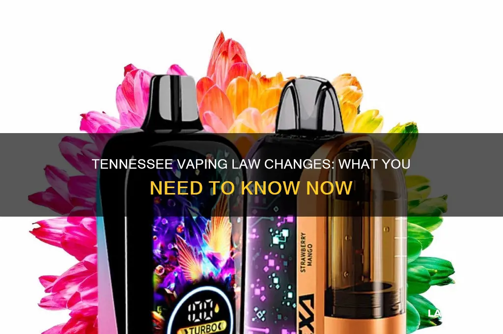 Tennessee Vaping Law Changes: What You Need To Know Now | LawShun