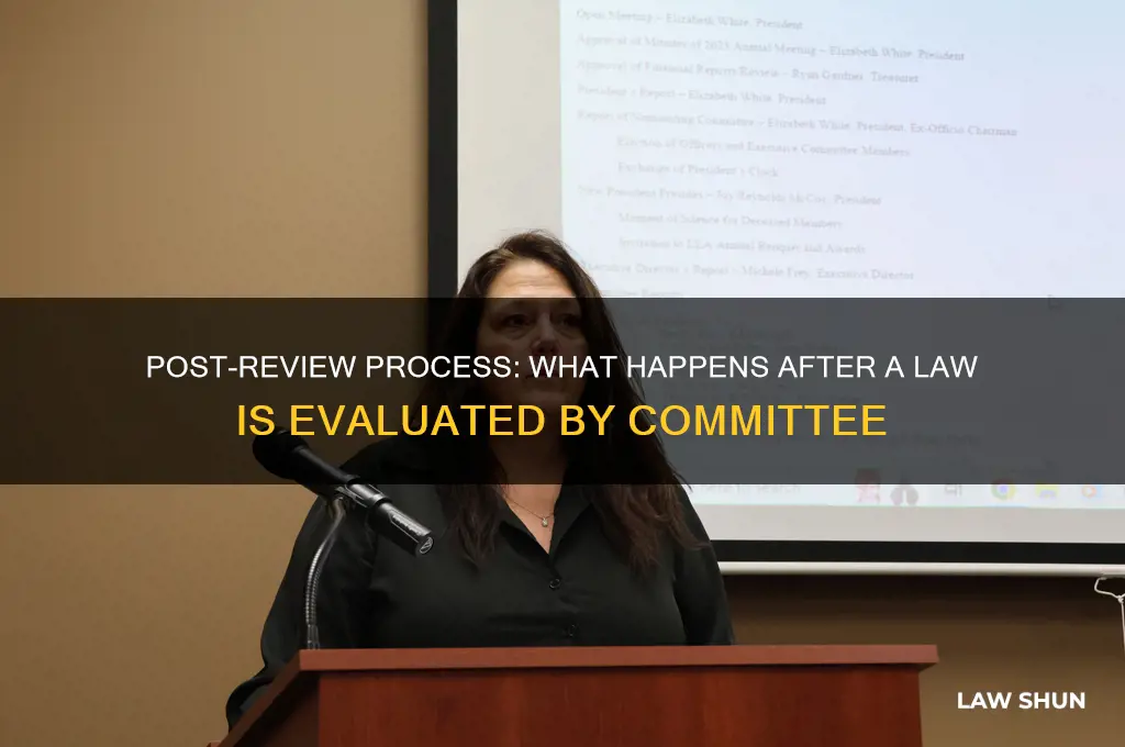 Post-Review Process: What Happens After A Law Is Evaluated By Committee ...