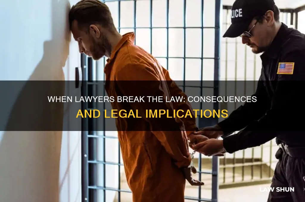 When Lawyers Break The Law: Consequences And Legal Implications | LawShun