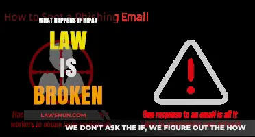 Consequences Of Breaking The Law: Legal Penalties And Societal Impact ...