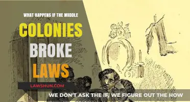 Consequences Of Breaking The Law: Understanding Legal Penalties And ...