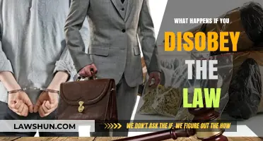 Legal Consequences Of Punching Someone: Understanding Assault Laws And ...