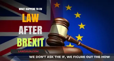 The Evolution Of Law: Adapting To Society's Changing Needs And ...