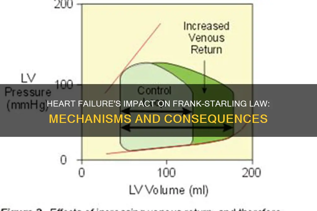 Heart Failure's Impact On Frank-Starling Law: Mechanisms And ...