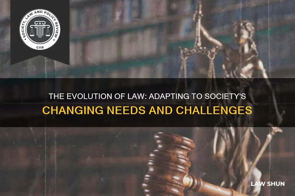 The Evolution Of Law: Adapting To Society's Changing Needs And ...