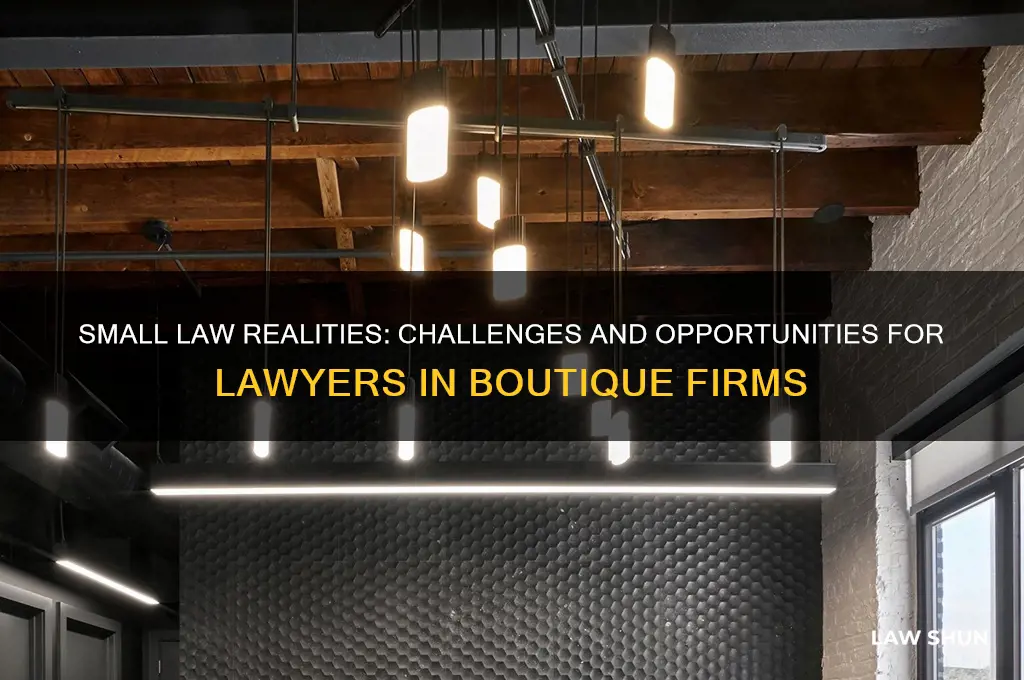 Small Law Realities: Challenges And Opportunities For Lawyers In ...