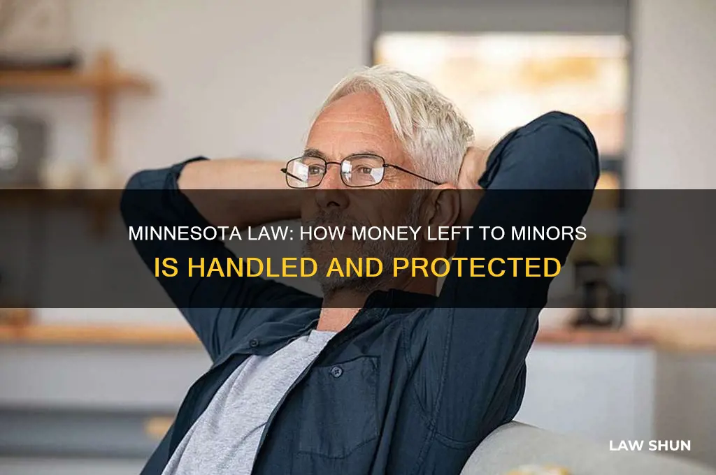 Minnesota Law: How Money Left To Minors Is Handled And Protected | LawShun