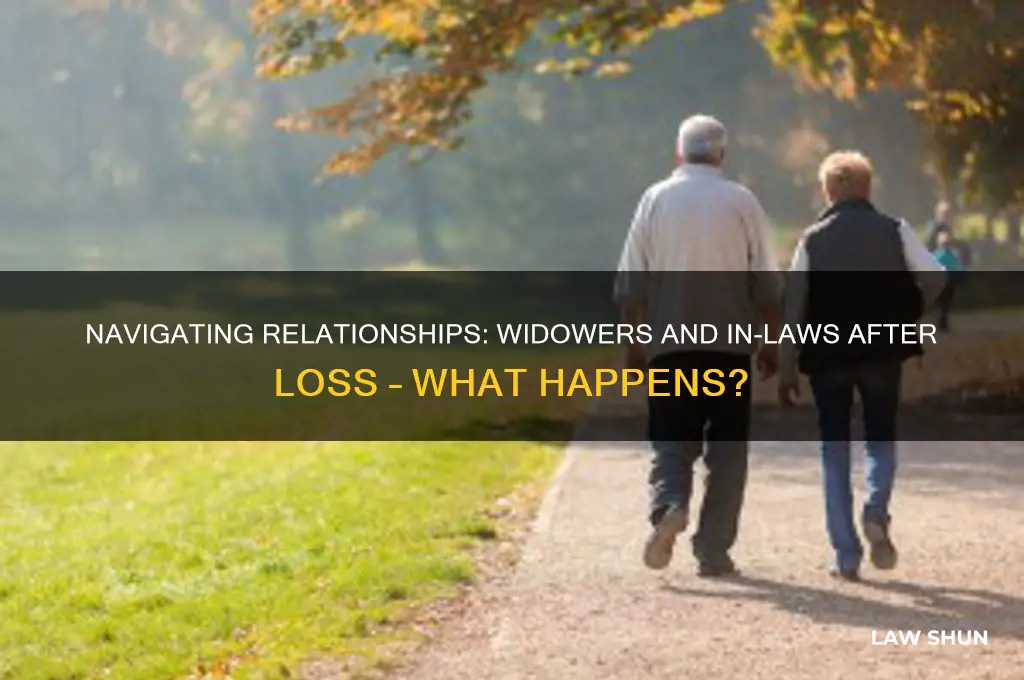 Navigating Relationships: Widowers And In-Laws After Loss – What ...