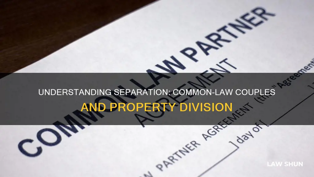 Understanding Separation: Common-Law Couples And Property Division ...