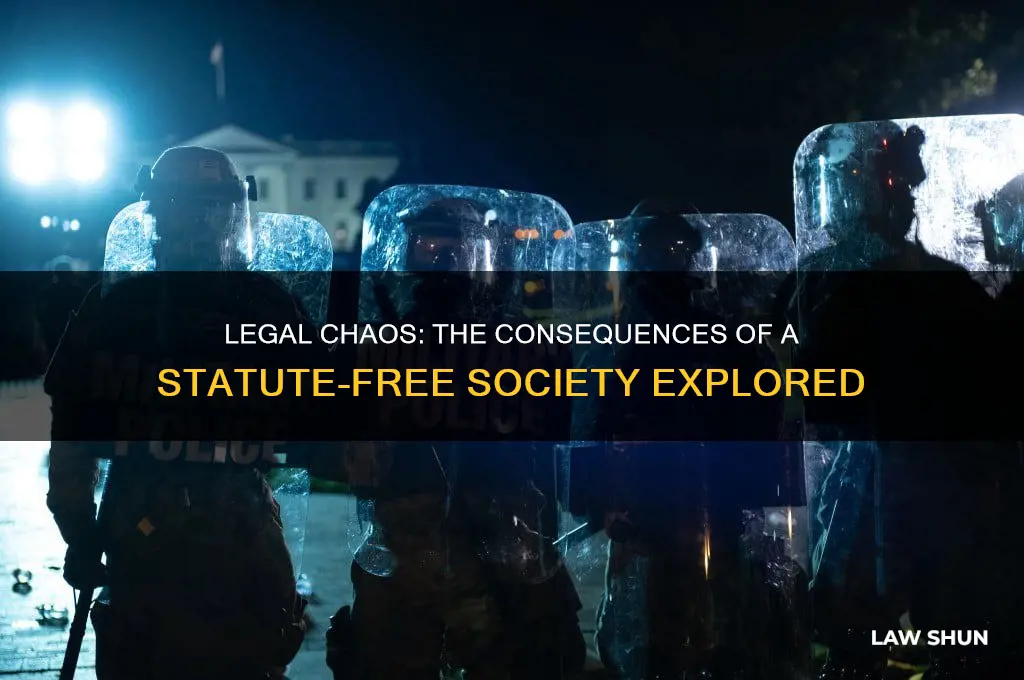Legal Chaos: The Consequences Of A Statute-Free Society Explored | LawShun