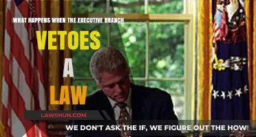 Consequences Of Constitutional Breaches: Unraveling The Impact Of Legal ...
