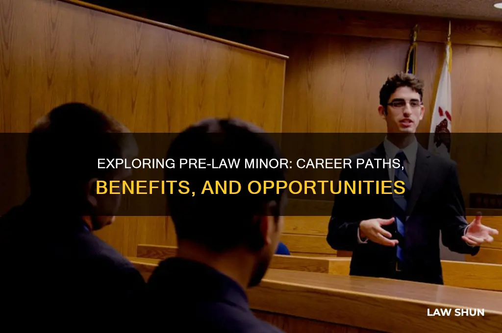 Exploring Pre-Law Minor: Career Paths, Benefits, And Opportunities ...
