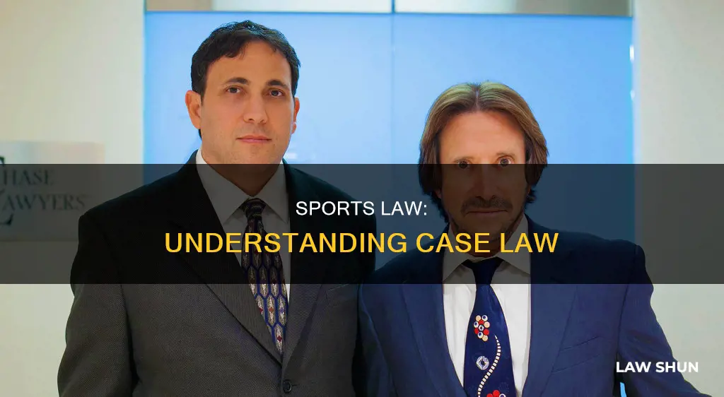 Sports Law: Understanding Case Law | LawShun