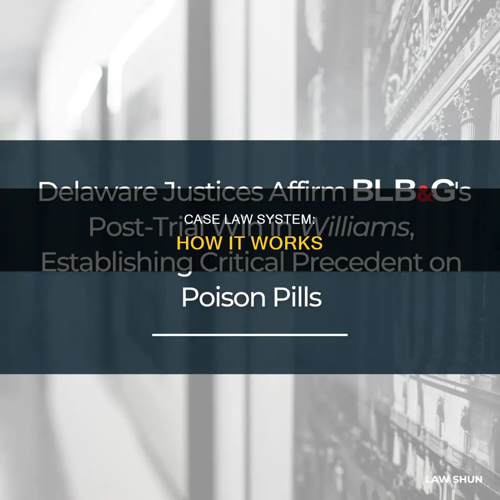 Case Law System: How It Works | LawShun