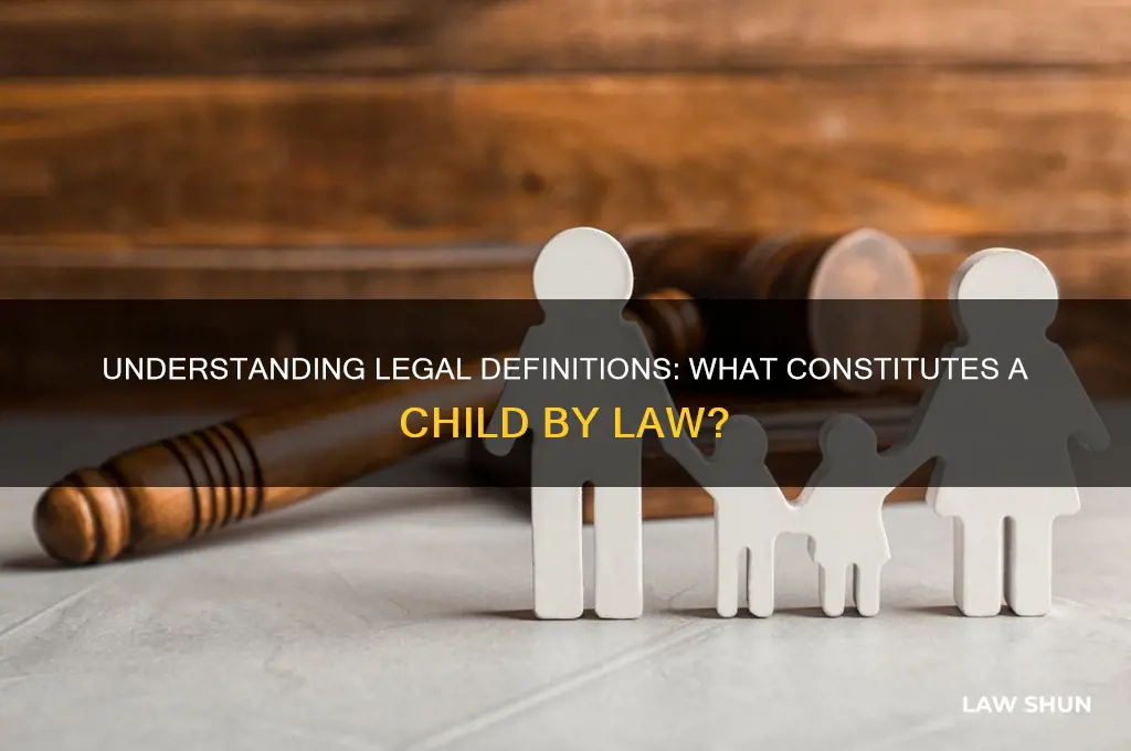 Understanding Legal Definitions: What Constitutes A Child By Law? | LawShun