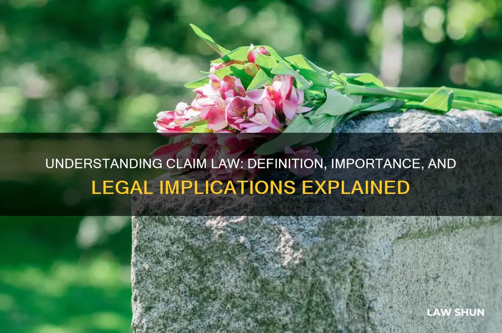 Understanding Claim Law: Definition, Importance, And Legal Implications ...