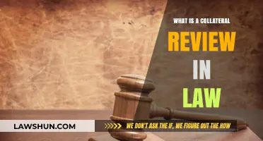 Understanding Legal Reviews: Key Concepts And Their Role In Law | LawShun