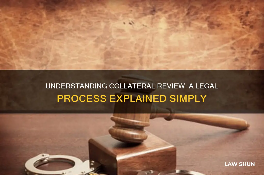 Understanding Collateral Review: A Legal Process Explained Simply | LawShun