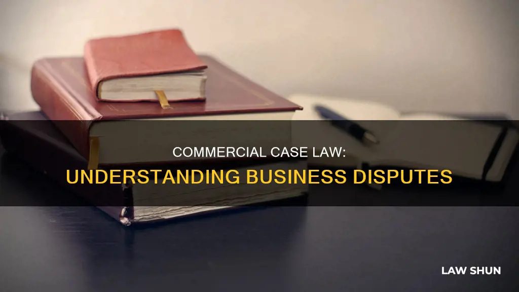 Commercial Case Law: Understanding Business Disputes | LawShun