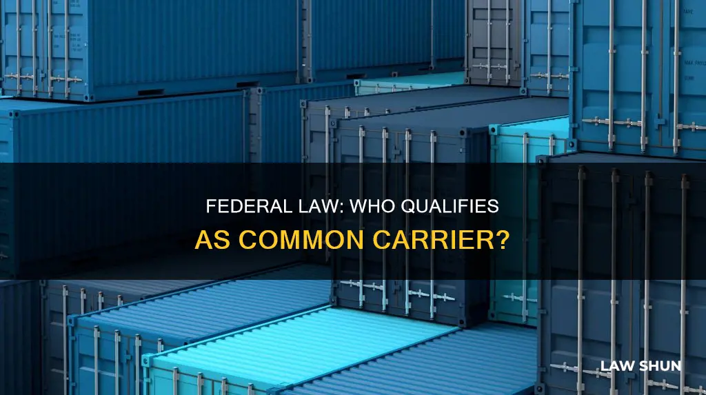 Federal Law: Who Qualifies As Common Carrier? | LawShun