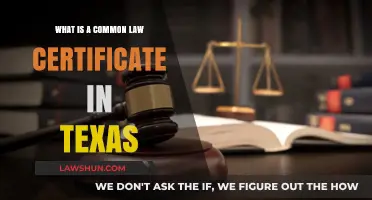 Law Degrees: Common Law Explained | LawShun