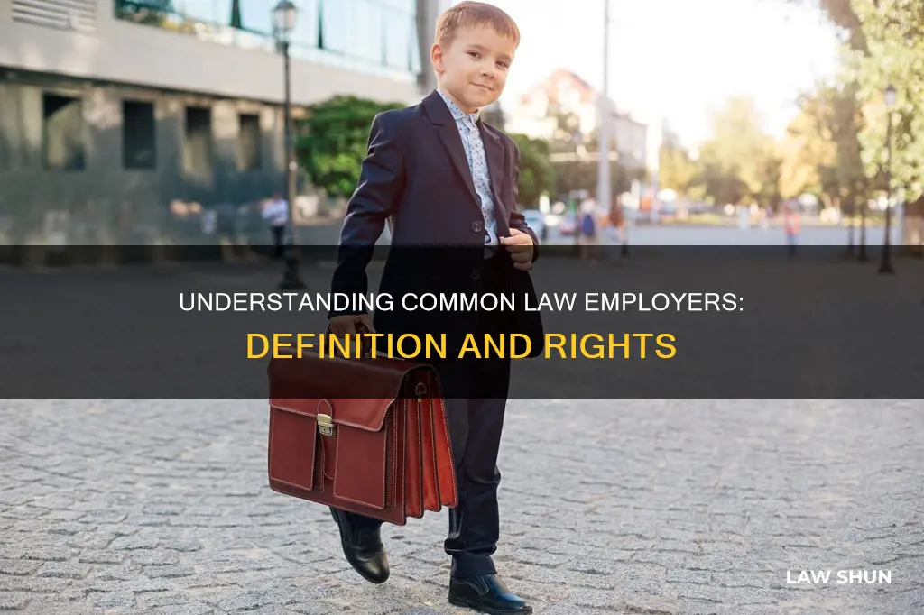 Understanding Common Law Employers: Definition And Rights | LawShun