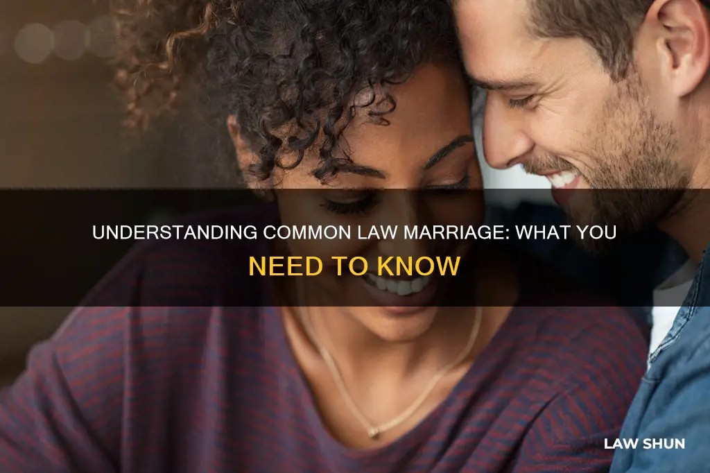 Understanding Common Law Marriage: What You Need To Know | LawShun
