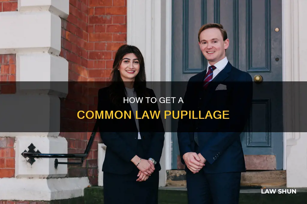 How To Get A Common Law Pupillage | LawShun